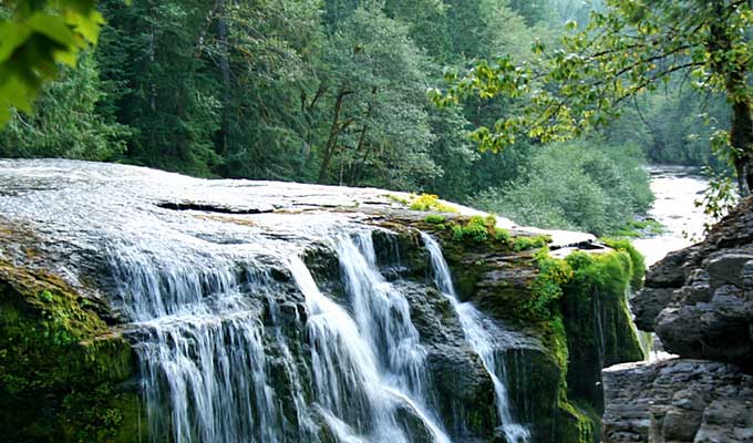 Background Information | Spontaneous Meditation